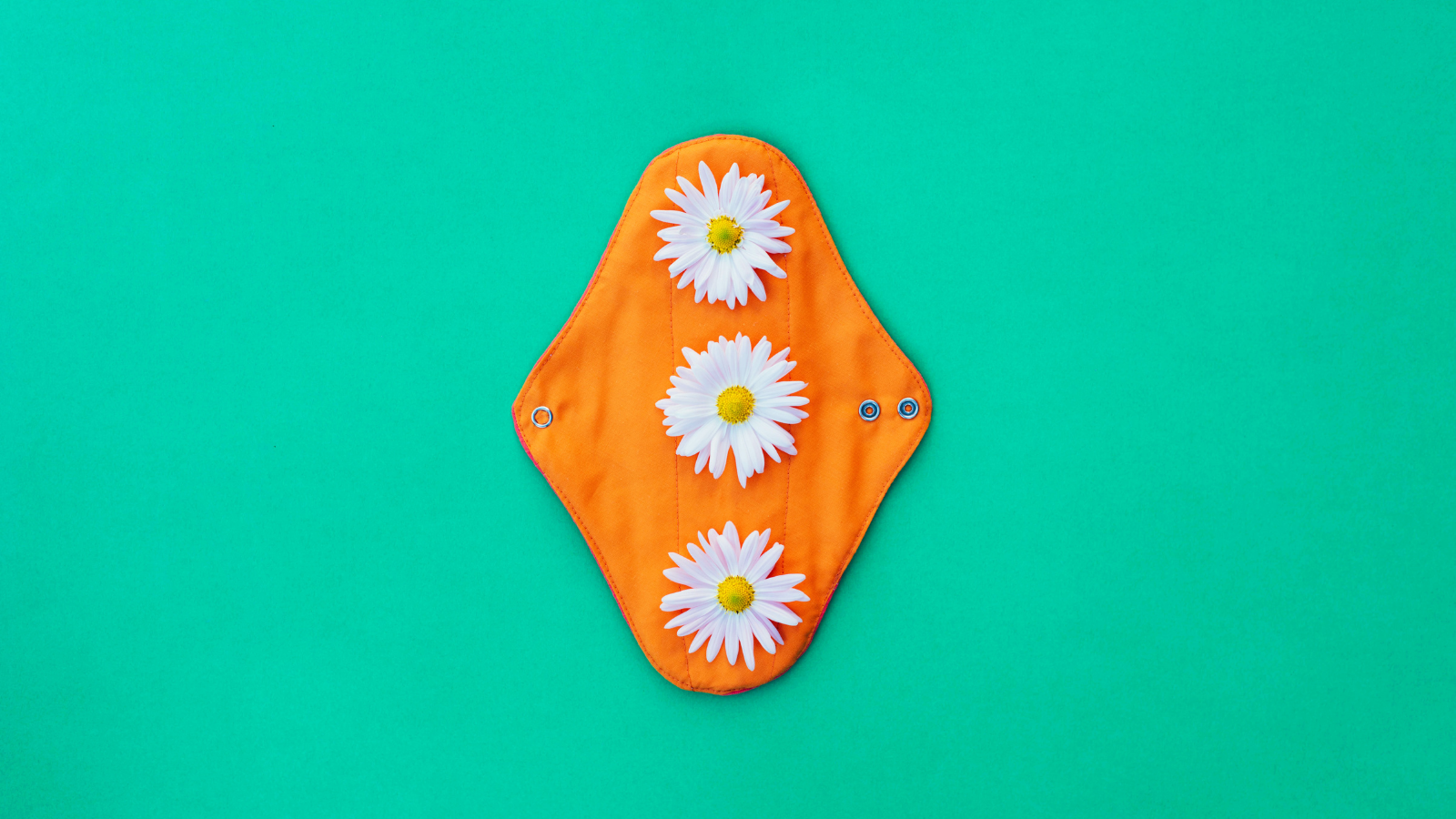 reusable-pad – Humber's Office of Sustainability